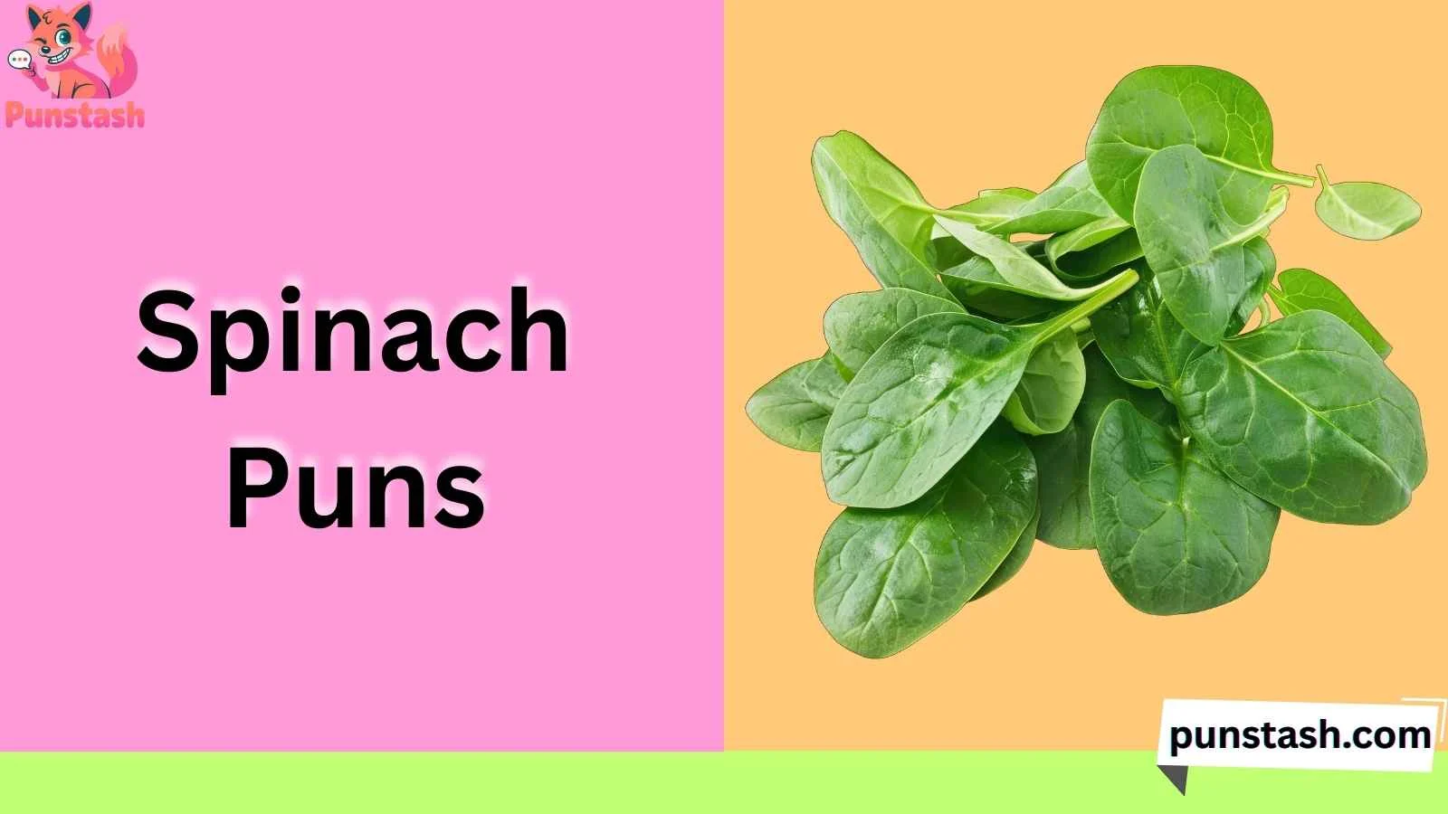385+ Spinach Puns That’ll Leaf You Laughing (2026) - punstash.com